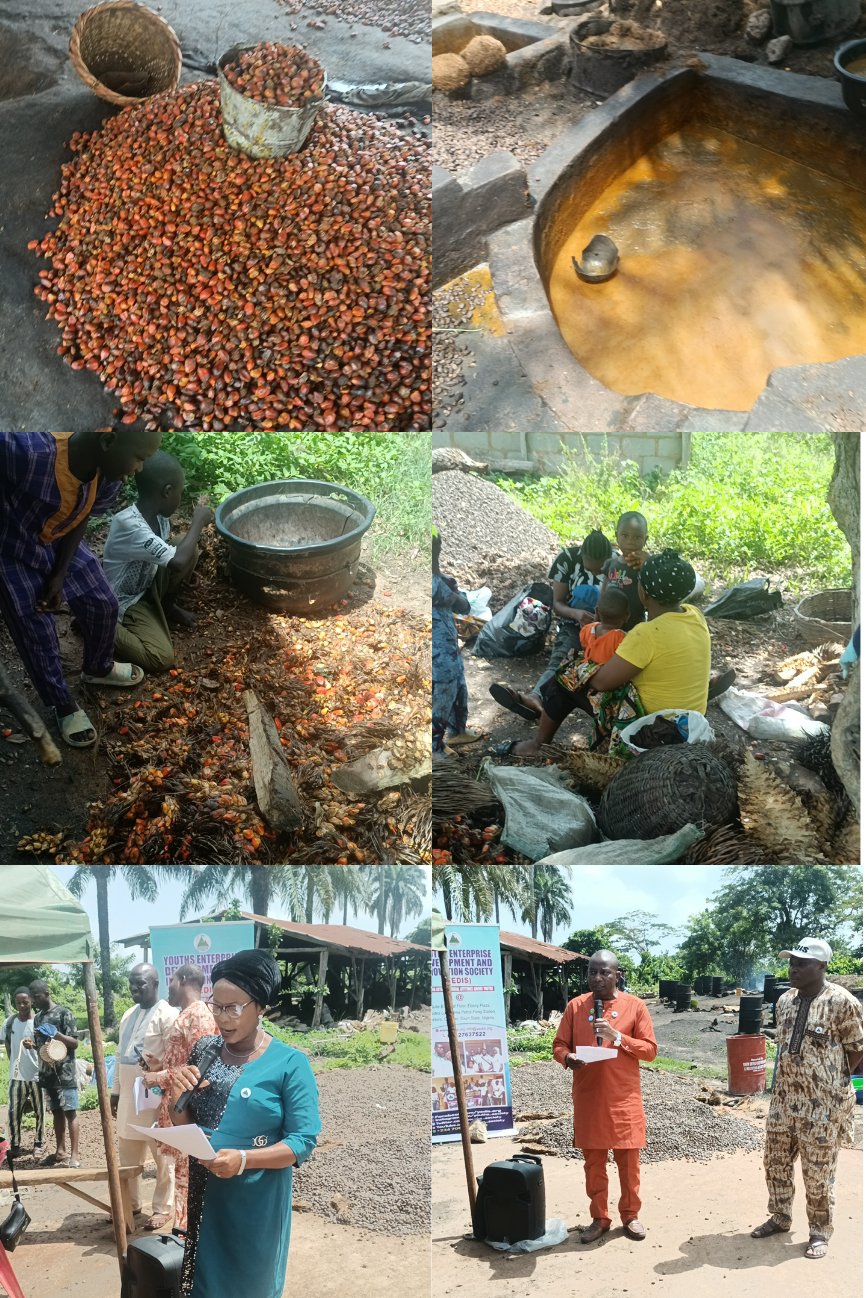 Capacity Building Workshop and Empowerment of Marginalized Agribusiness Women and Girls - Youths ...